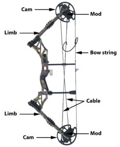 How does a compound bow work – the full explanation ...