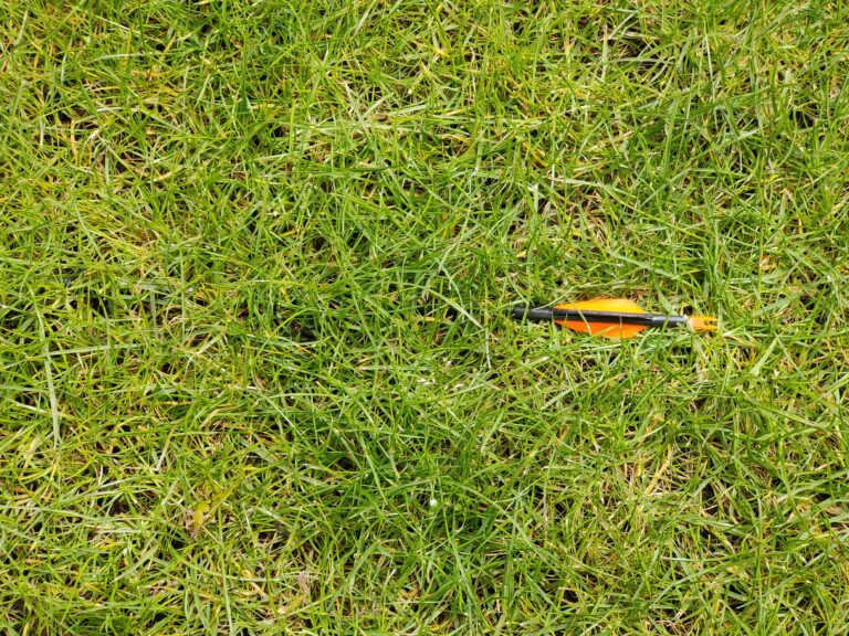 The pros and cons of arrow wraps - ImproveYourArchery.com